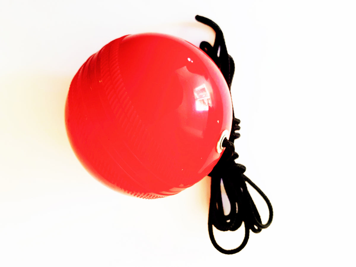 SOFT TRAINING BALL - PRO – THE V STRIKE POWER